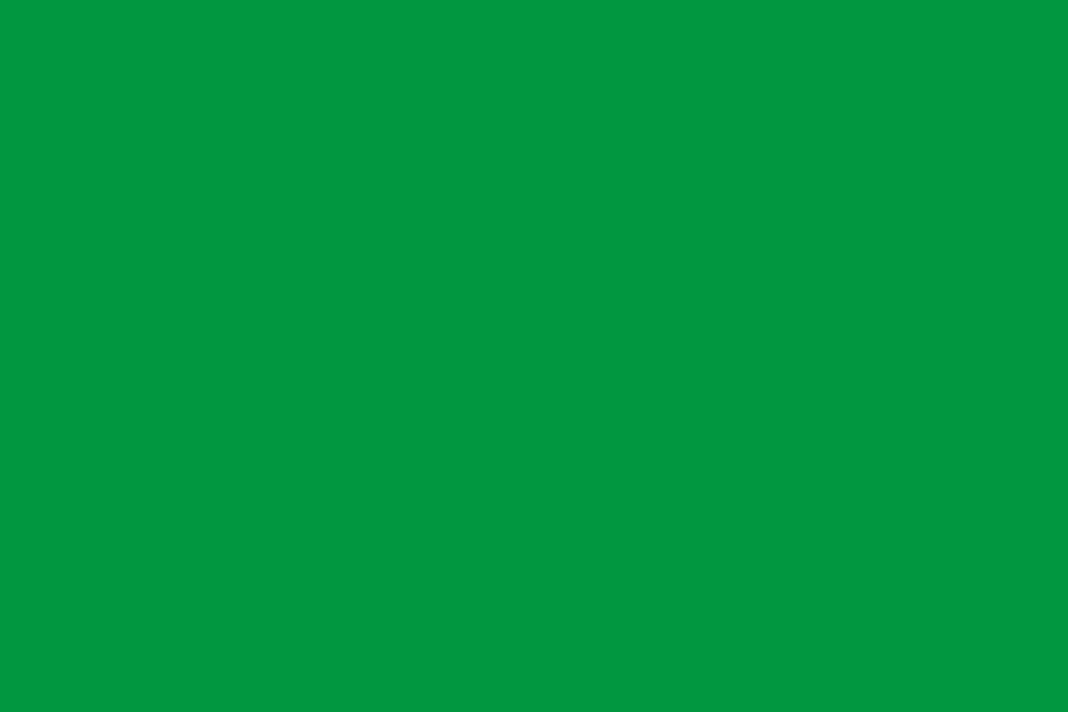 Heineken Green - Heineken Miami - MONTANA-CANS BLOG
