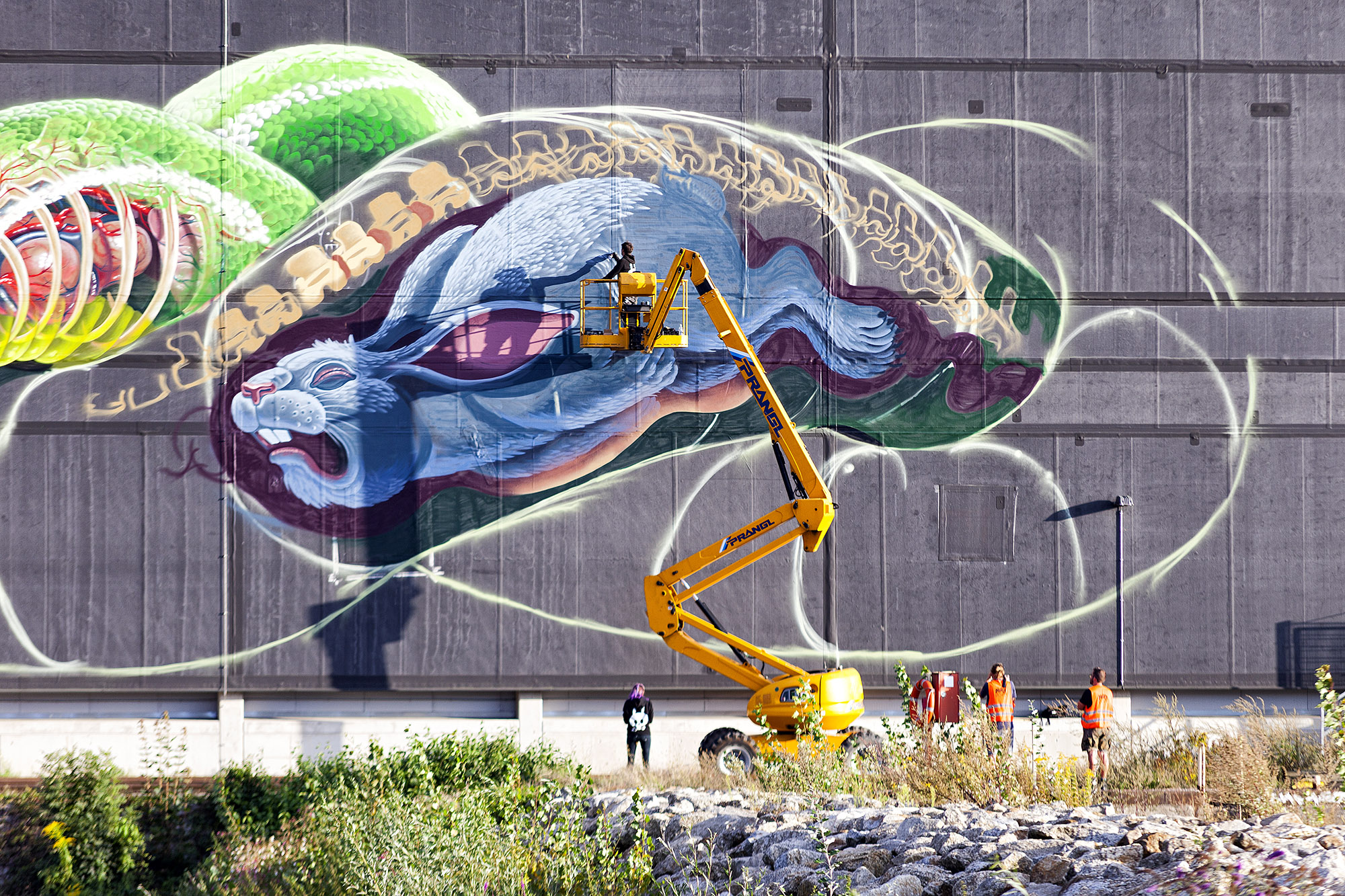 Mural Harbor - Open Urban Art Gallery in Linz, Austria