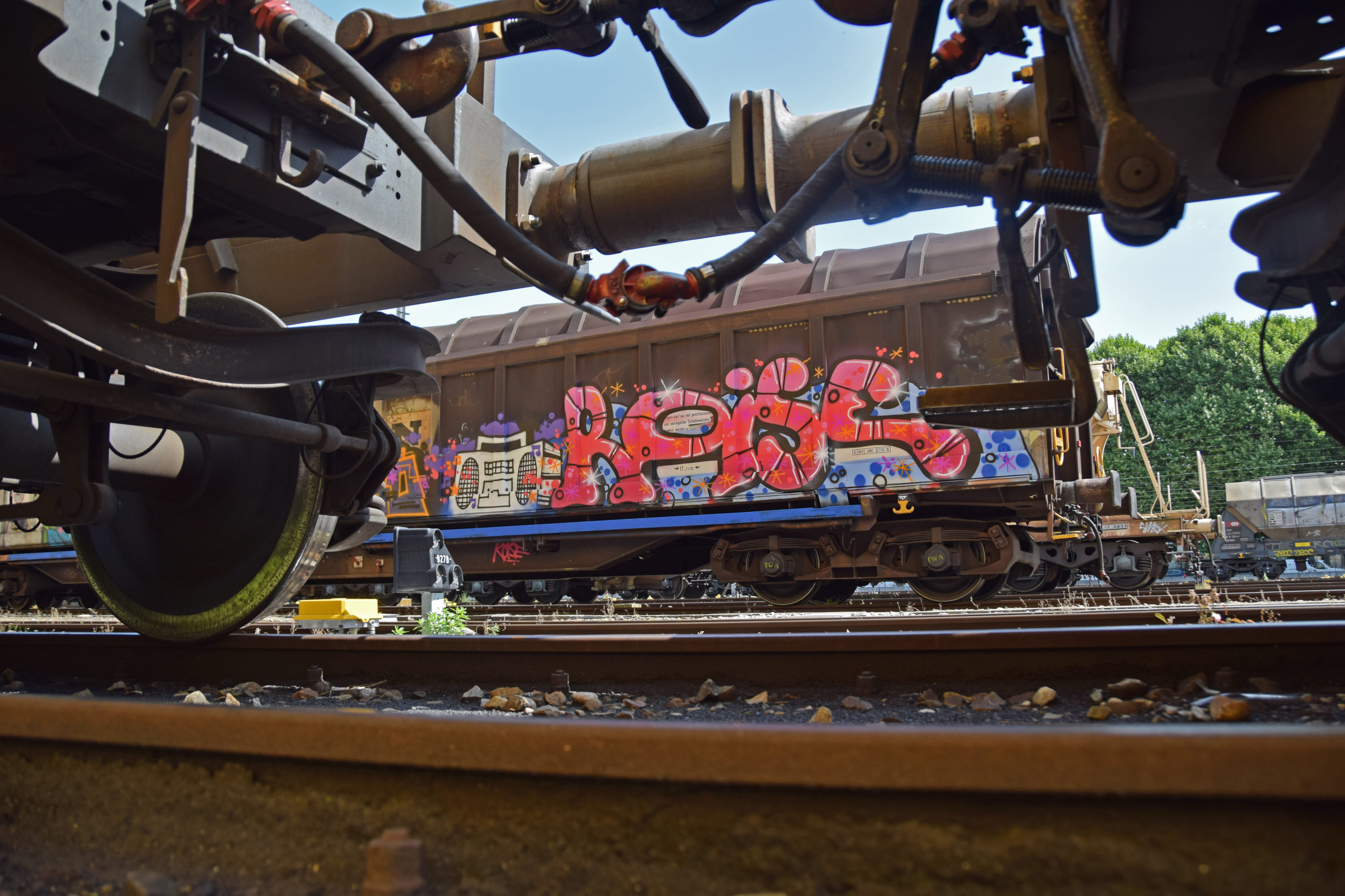 INTRODUCING GRAFFITI ARTIST ROISE