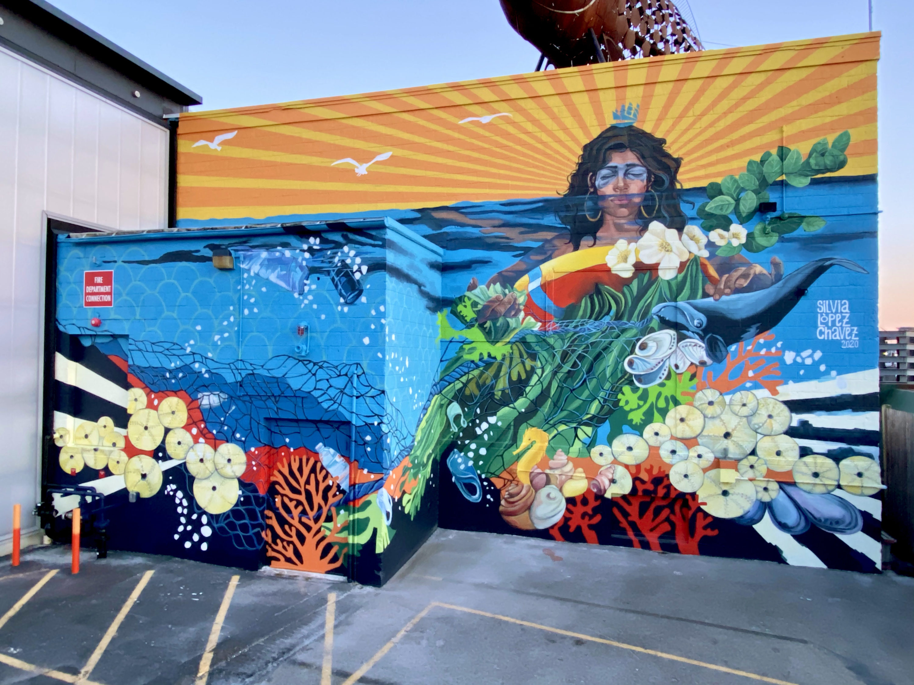 PANGEASEED SEA WALLS in Boston 2020 - MONTANA-CANS BLOG