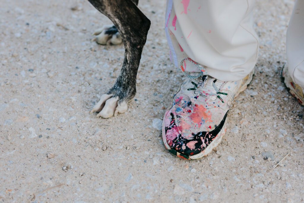 Alpine Dialogues: David Leitner’s Creative Retreat in the Alps